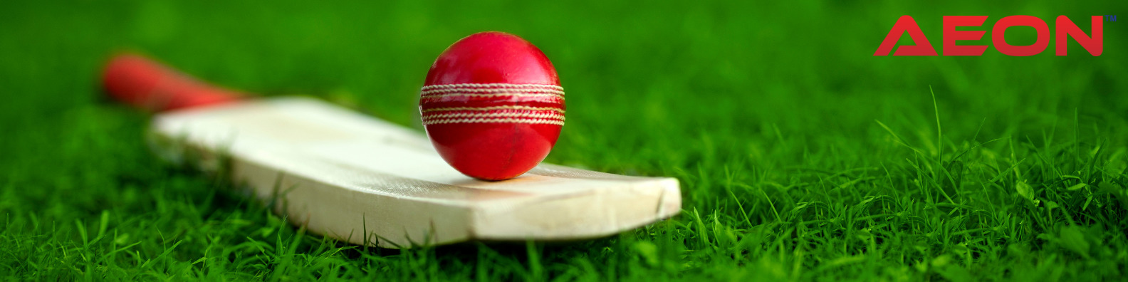 LED Lighting For Cricket Fields & Stadiums | AEON LED Lighting